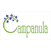 Campanula