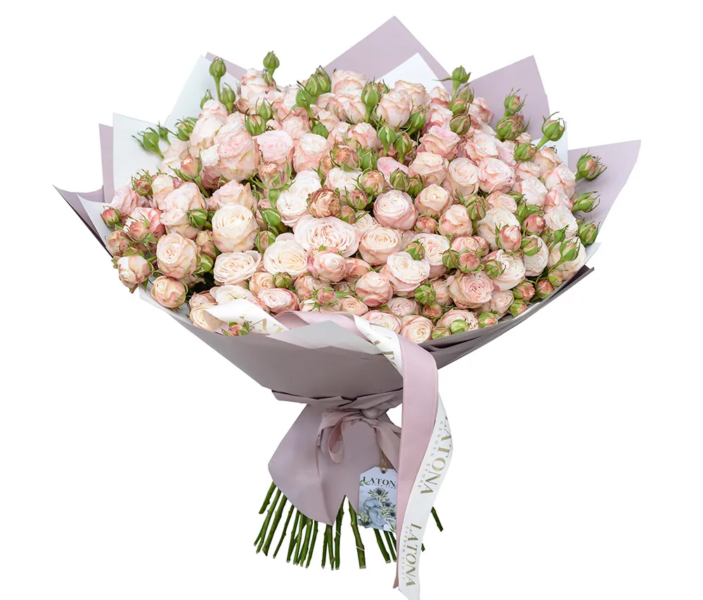 Ծաղկեփունջ «Apollo» Latona Flowers